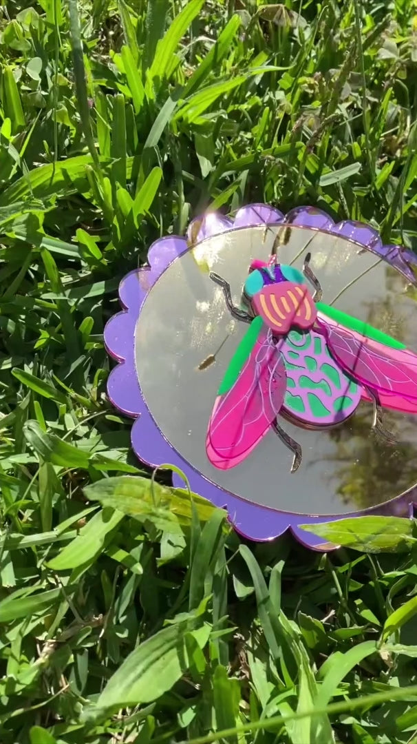 SCARAB | ACRYLIC BUG MIRROR | MINI – Miss Lizzy